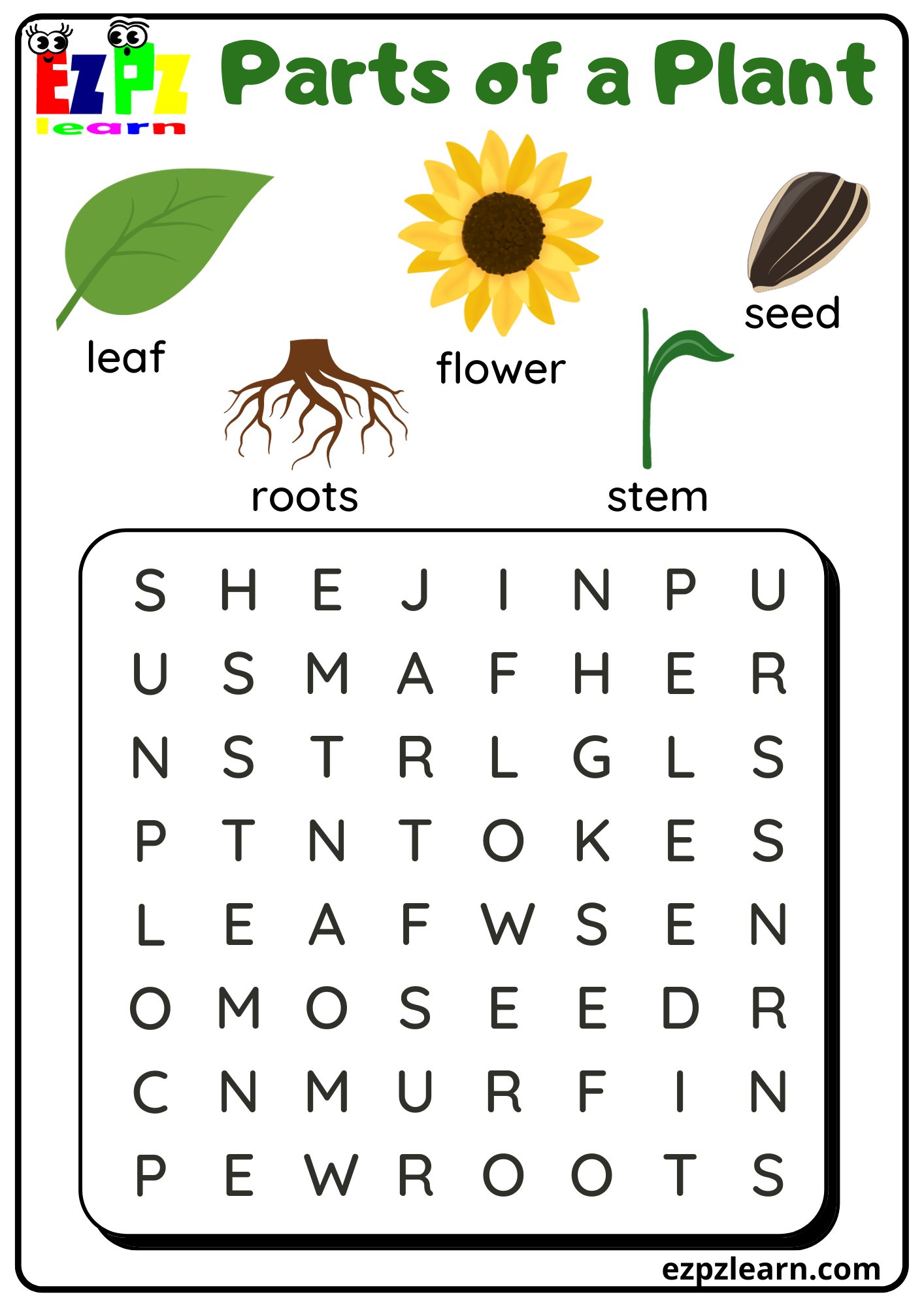 Parts of a Plant Vocabulary Word Search Activity for Kindergarten or ...