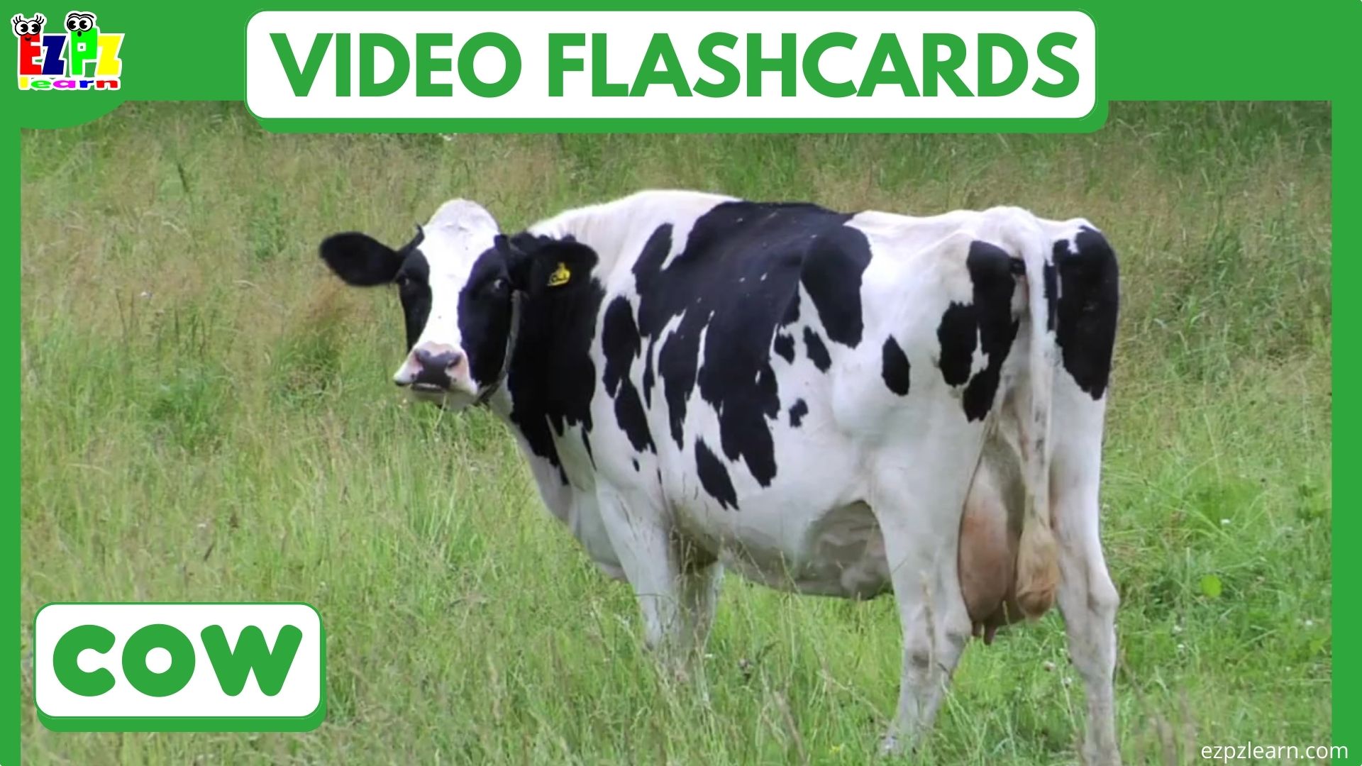 Farm Animals Vocabulary Video Flashcards with Sound. Great for English ...